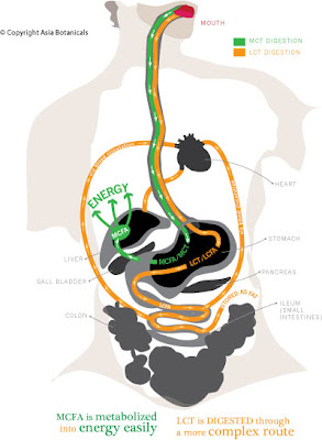 Pusat Rawatan Sunnah