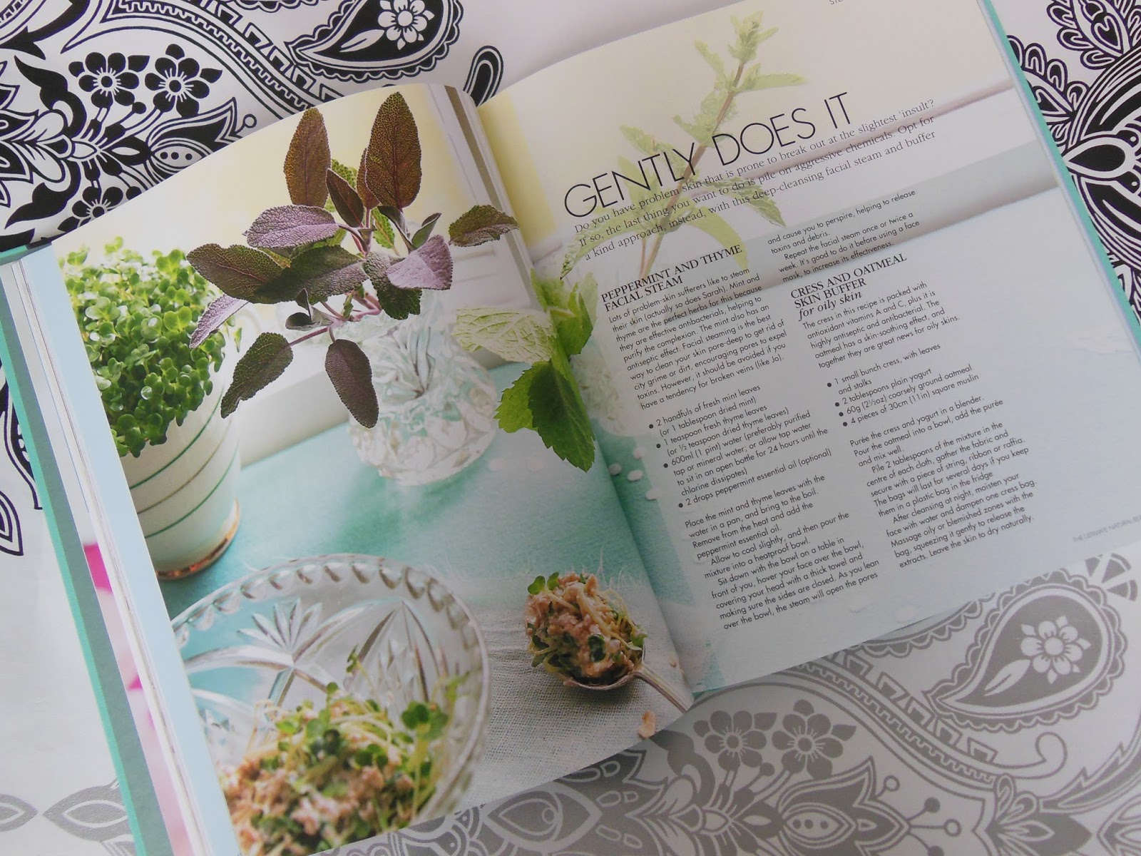 The Ultimate Natural Beauty Bible 2014 edition | Tales of a Pale Face ...