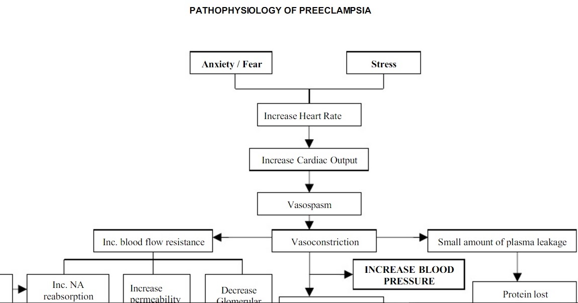 Pathoshoppe: Pathophysiology Preeclampsia