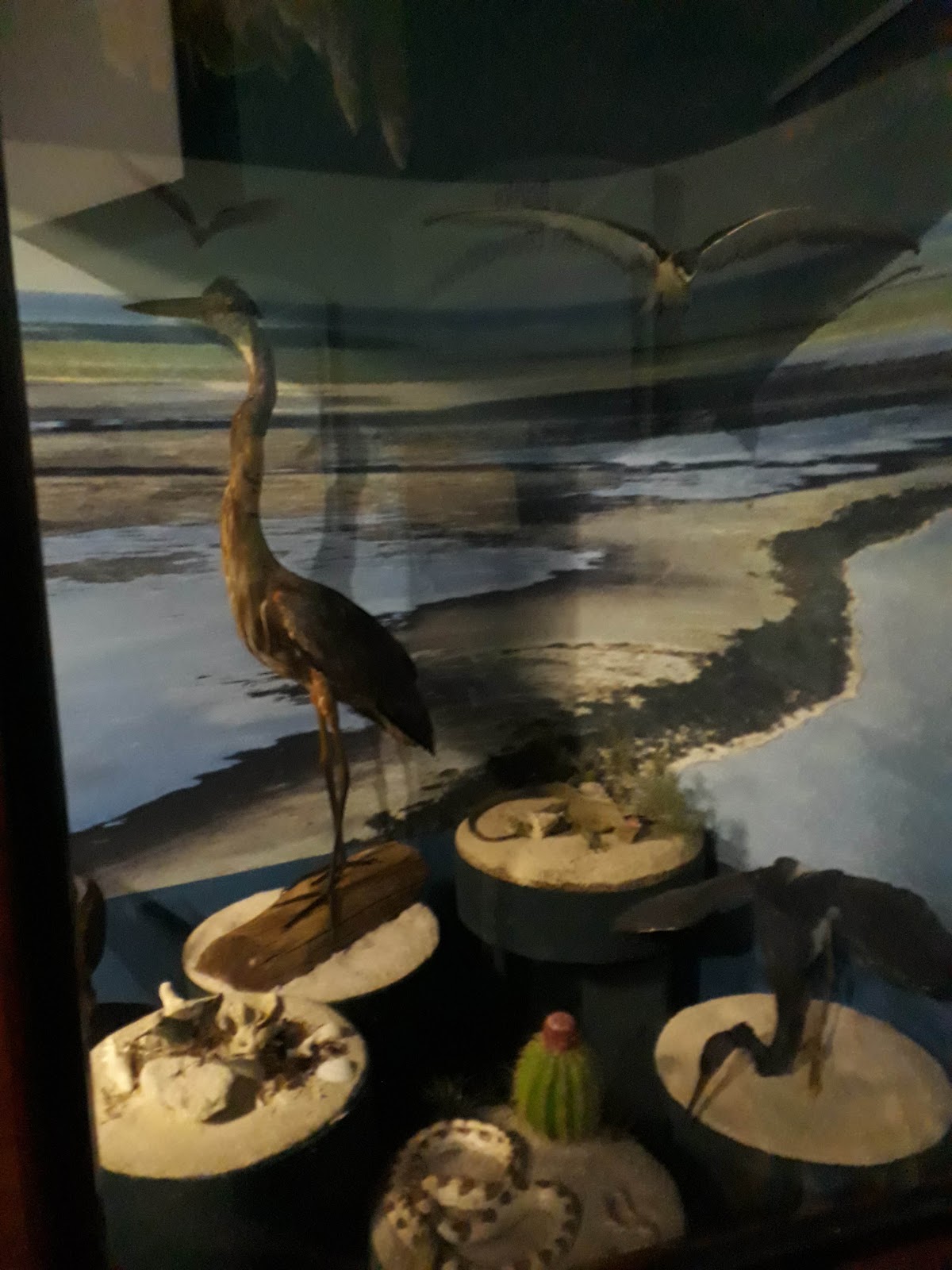 Miss Forbes Classroom: GRADE 4 INTERVENTION OSETA JOLLY PRIMARY SCHOOL ...