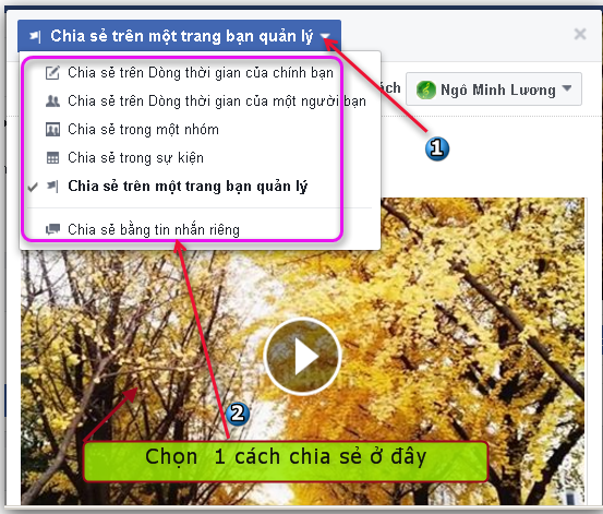 Làm trình chiếu trên trang FanPage Facebook | minh lương và mọi người