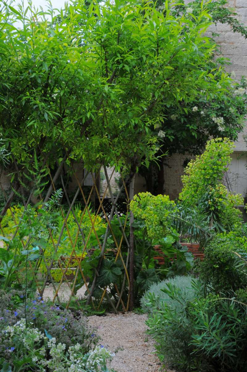 The Provence Post: Five Gorgeous Provence Gardens to Visit