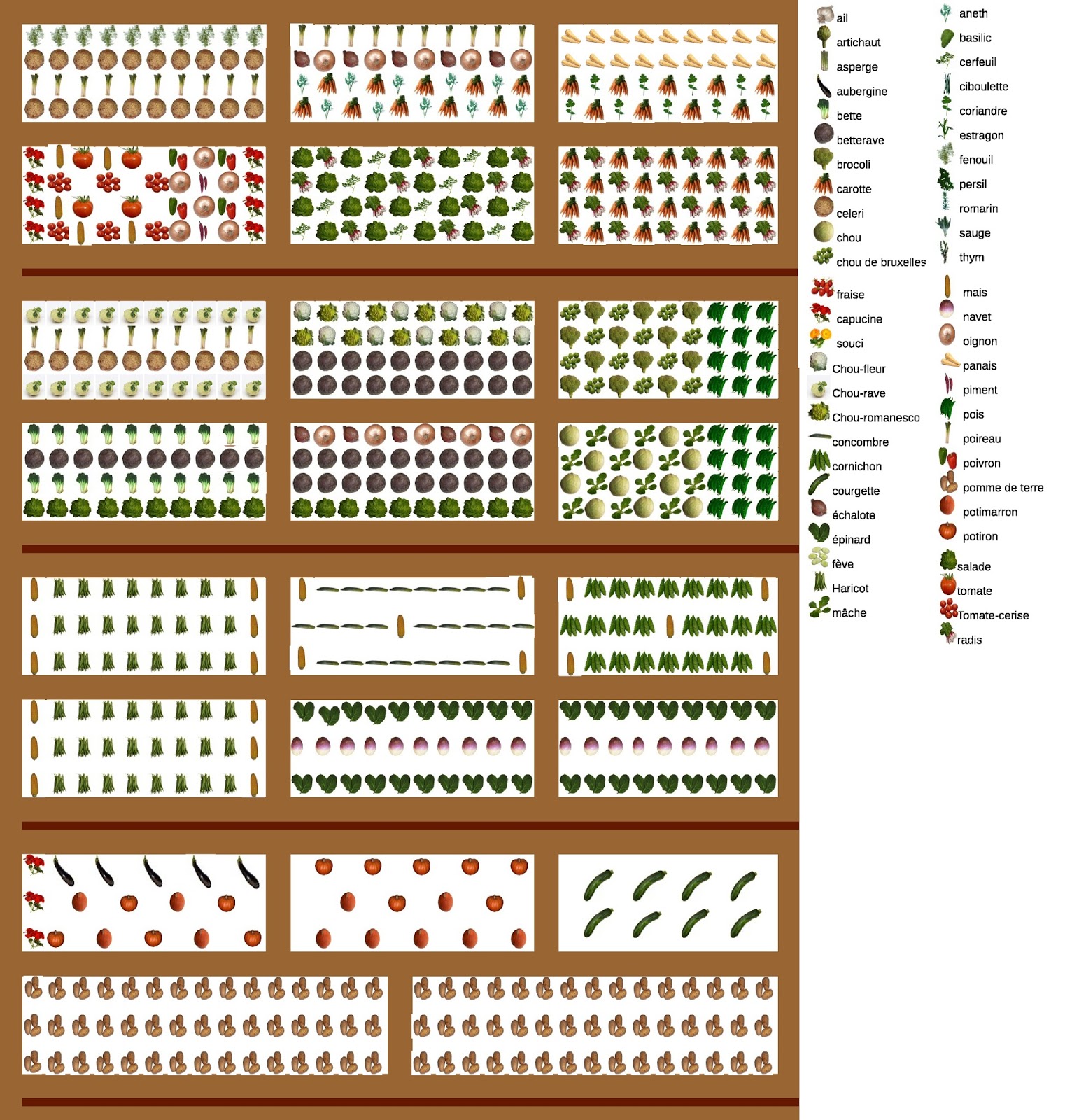 JARDINS DE LA VIGNETTE: Proposition d'organisation des plantations