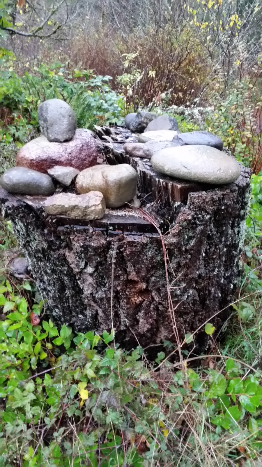 Eyes Over Eld: Northwest Tree-stump Art