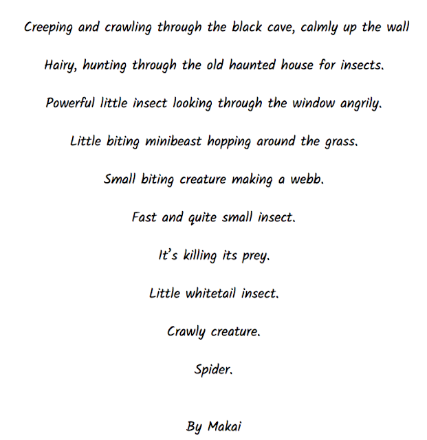 Sensational Fifteen & Sixteen!: Minibeast Poems