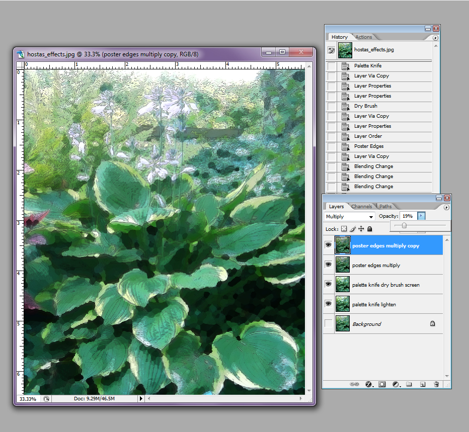 Photographing Flowers: Impressionist Flower Effects in Photoshop