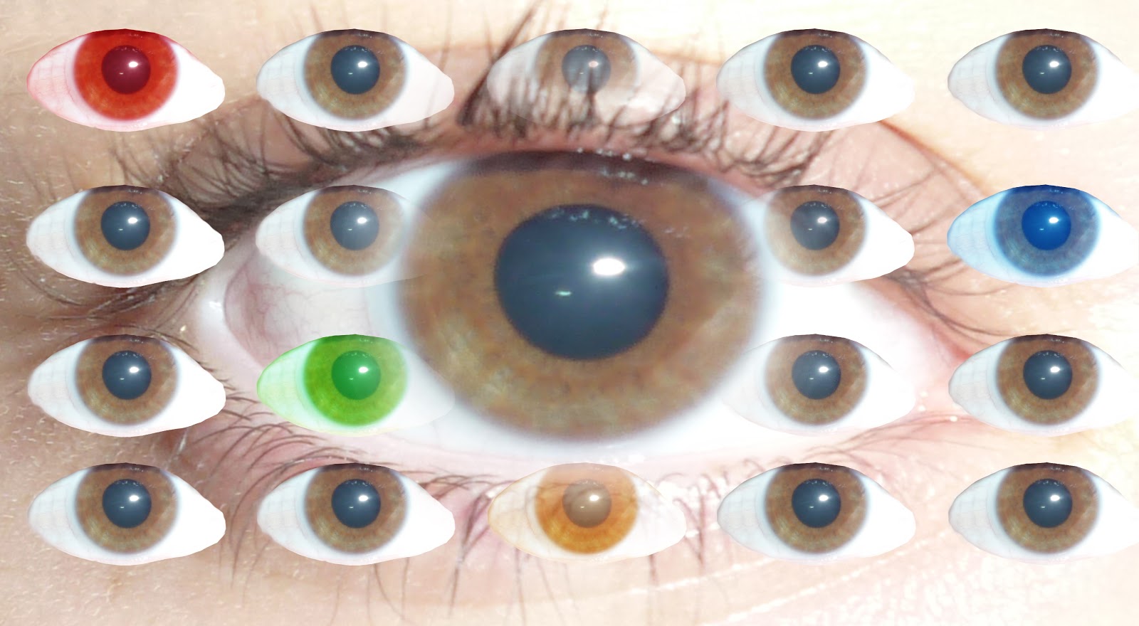 Dibujo, Análisis e Ideación (Eva Gil): Repetición y cambio de escala