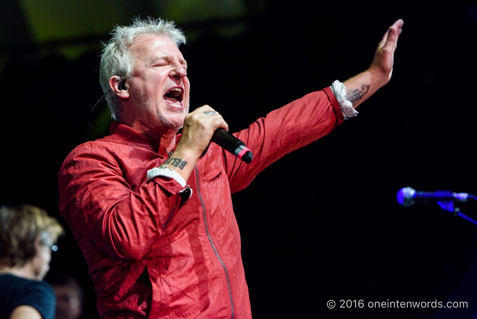 one in ten words: The Ex 2016: Alan Frew at The Bandshell - Concert ...