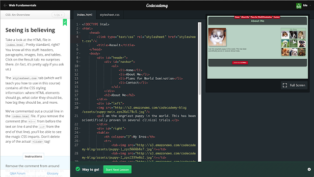 Hey, I'm Jesslyn.: Code Academy : Html & Css | CSS An Overview