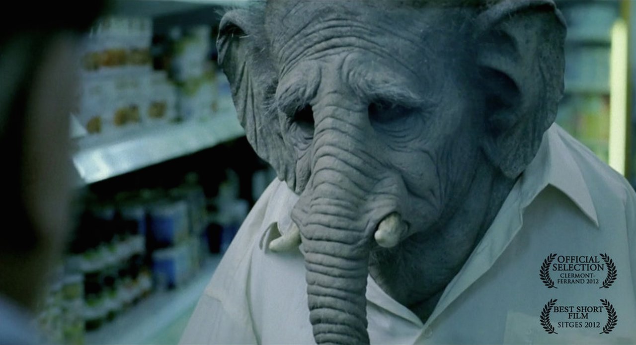 Elefante - Interessante comédia de humor negro de um homem que se ...