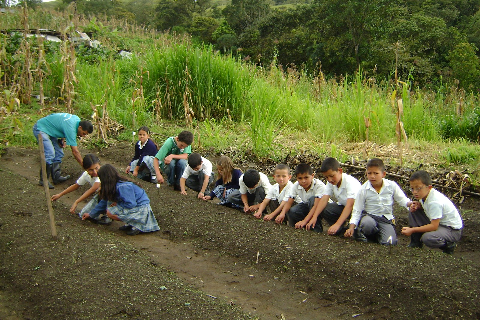 proyectos pedagogicos productivos rurales.: NUESTRA HUERTA
