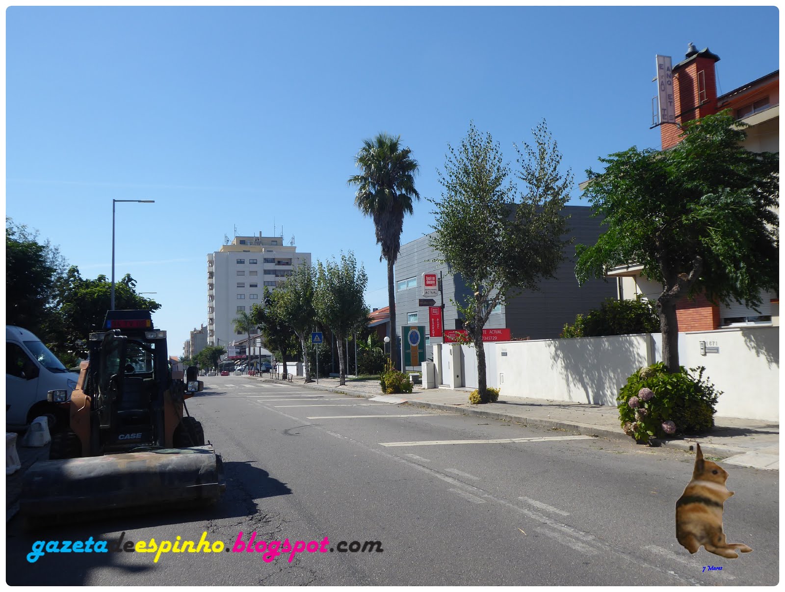Gazeta de Espinho: Requalificação da Rua 19