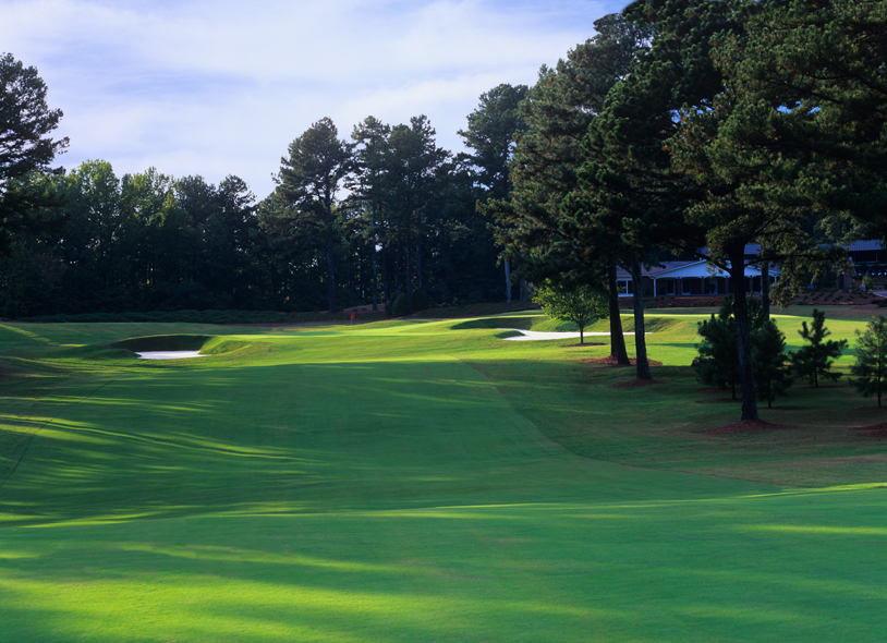 Bulldog Golf: Bunker to Bunker-Georgia Golf Update, July 25th