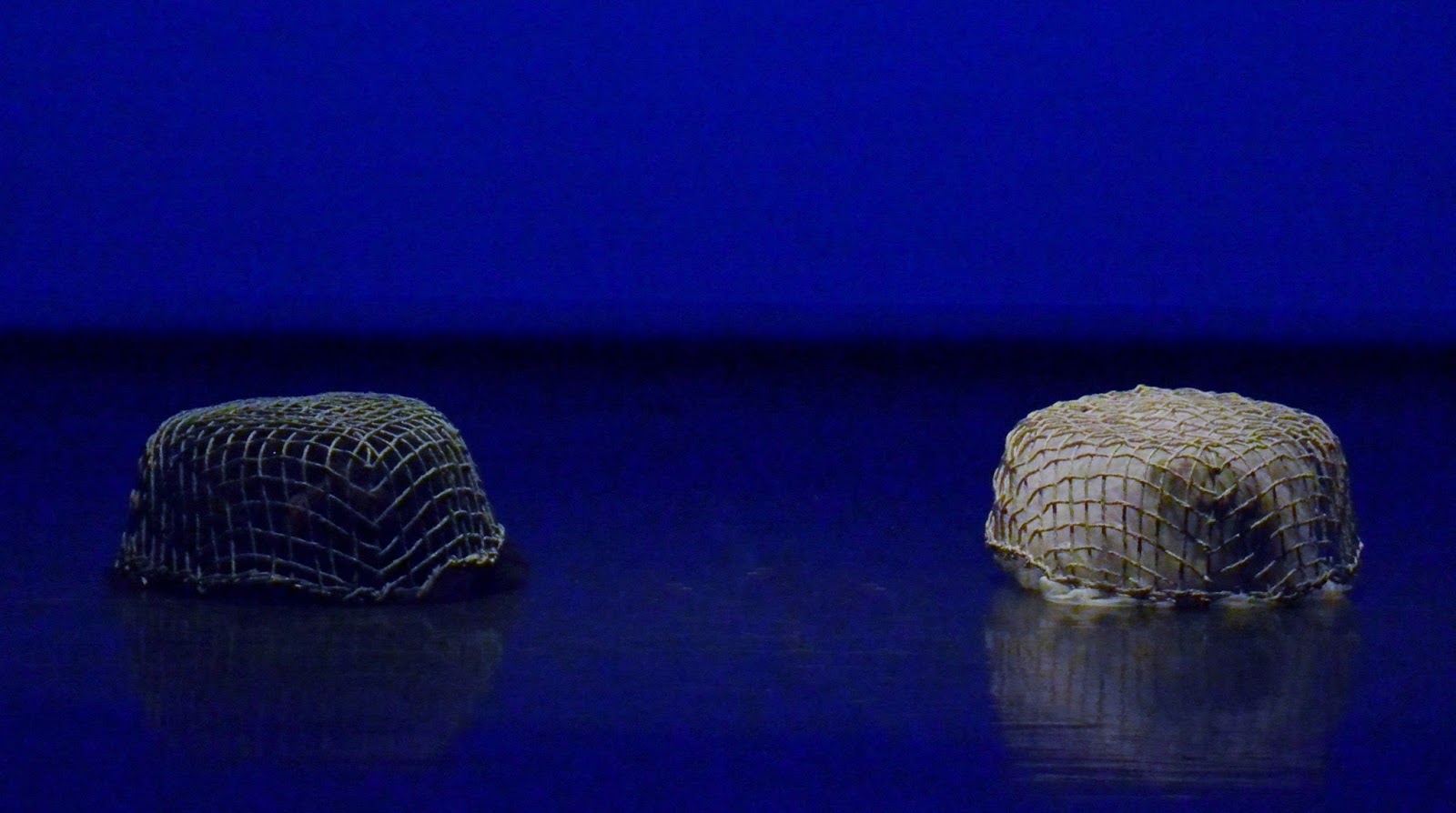 Ecole de danse Nathalie Galusi