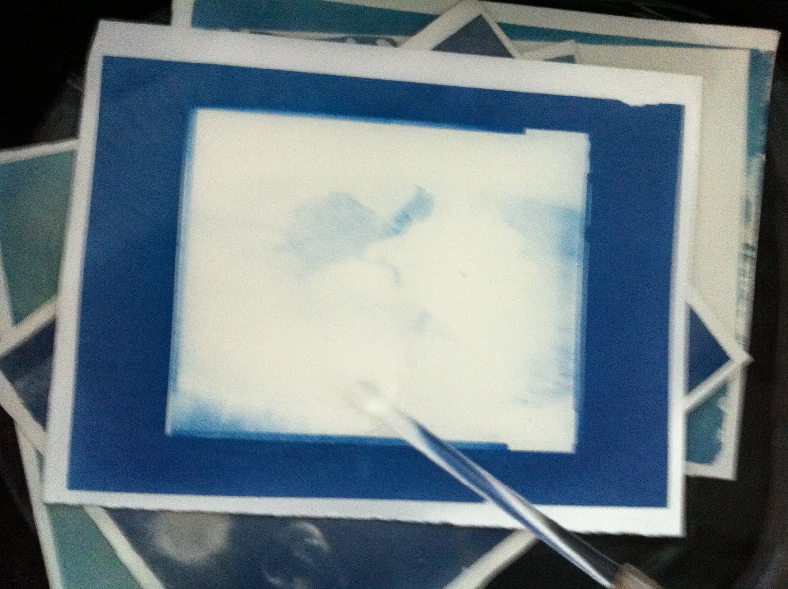 19 th Century Photographic Processes: Cyanotypes and Toning