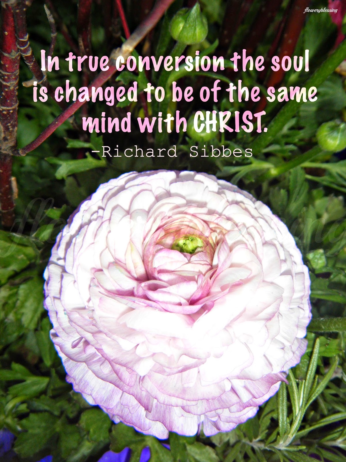 Flowery Blessing: In true conversion the soul is changed to be of the ...