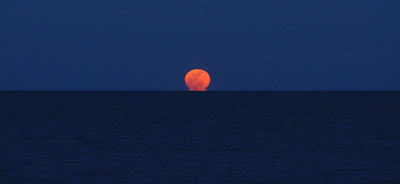 Starting Today: Red Moon at Night