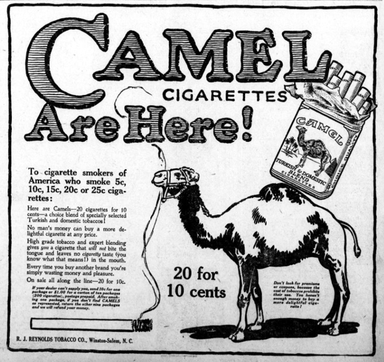 First Versions: Camel