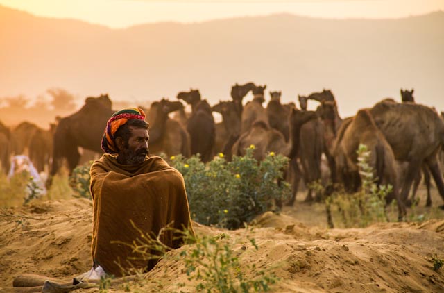 1 of 7: THE WORLD'S LARGEST CAMEL FAIR
