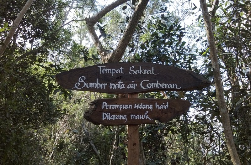 Mata Air Comberan, Bagian Mistis Di Gunung Api Purba Nglanggeran ...