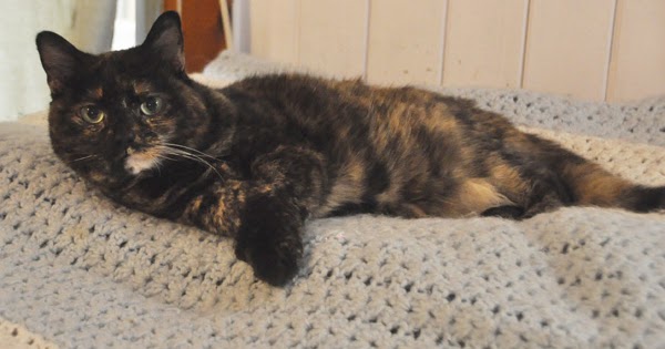 Mickey's Musings...Now, with Julie: Monday Musings with Georgia