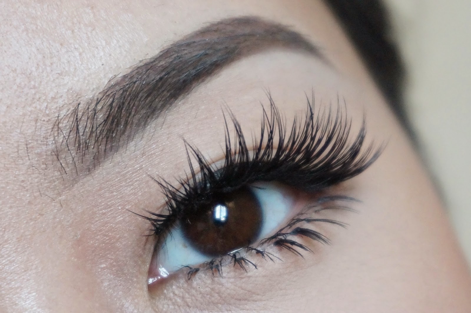 yokoxbeauty: socialeyes lashes review