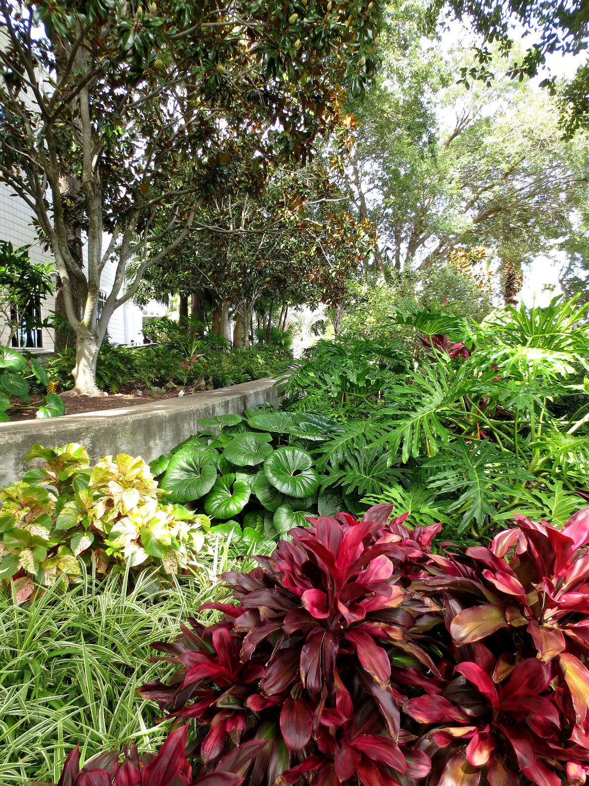 Tropical Texana: OTHER TROPICAL GARDENS: A VISIT TO GALVESTON ISLAND, TEXAS