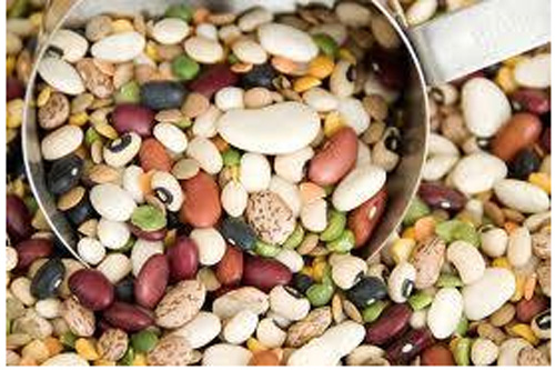 Canning Granny: Soup of the Day... Ten Bean Soup