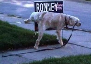 Mitt Romney Dog On Roof