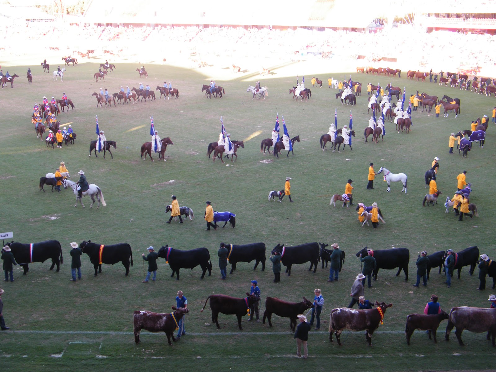 The Holiday and Travel Magazine: Animals Galore at the Royal Easter ...