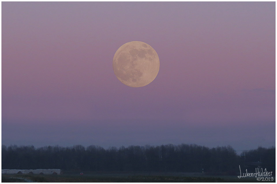 LH VANDAAG: (Blood) Moon rise / (Bloed) maan opkomst