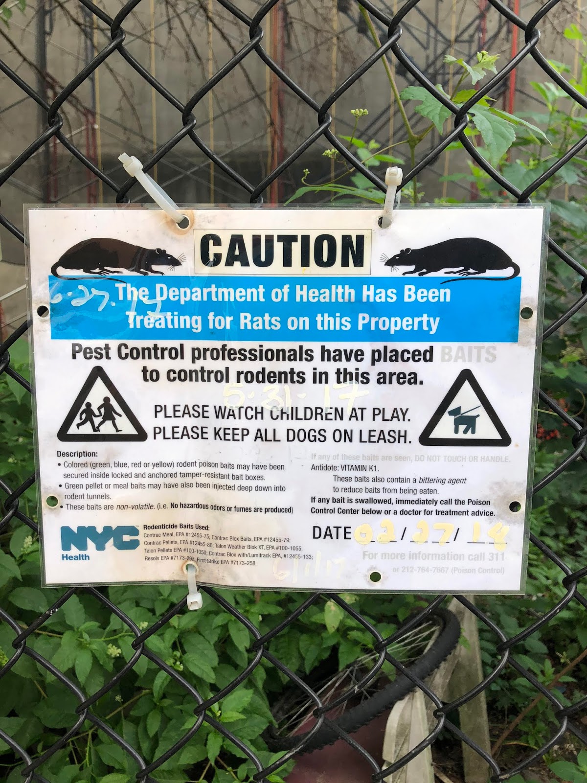 EV Grieve: Report: Rats running rampant in the Relaxation Garden on ...