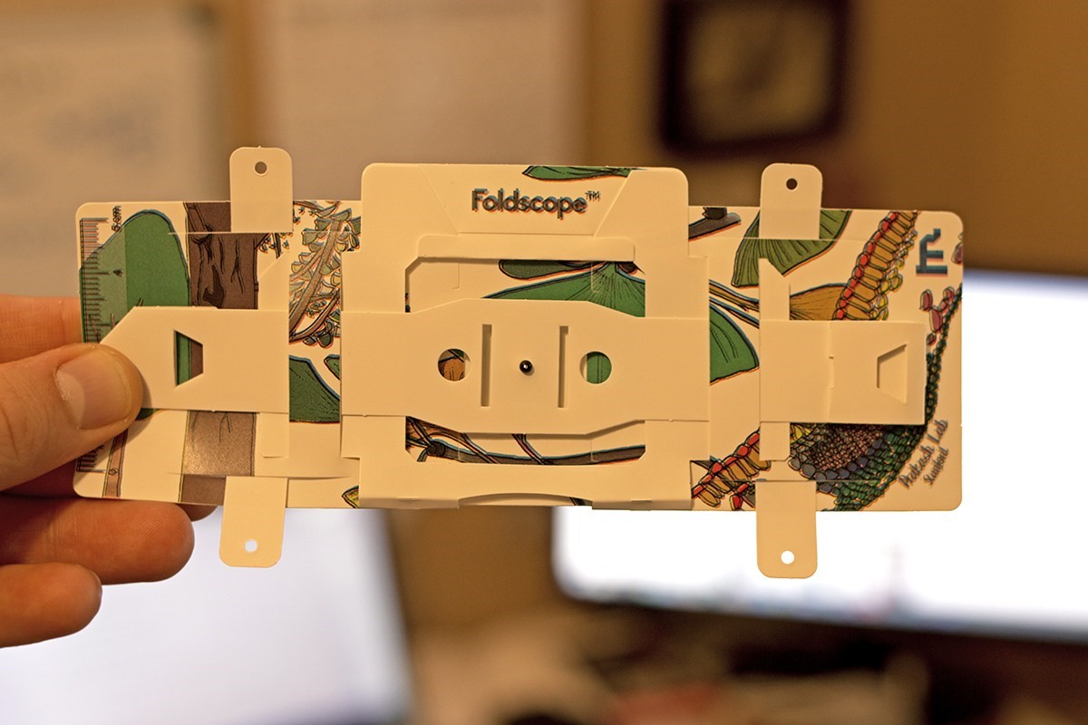 Biologando - Ciências na Prática: MICROSCÓPIO FEITO DE PAPELÃO??