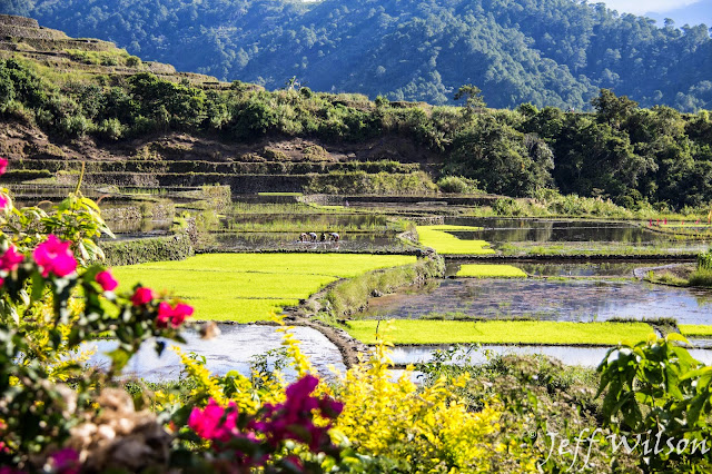 ...and we're gone: Buscalan, Whang-Od, Kalinga, Butbut Tribe