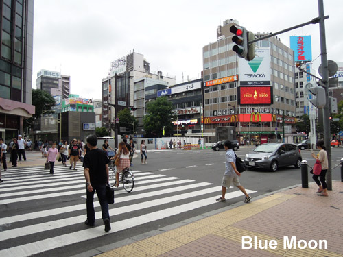 Tanukikoji Shopping Street and Susukino - Sapporo, Hokkaido, Japan