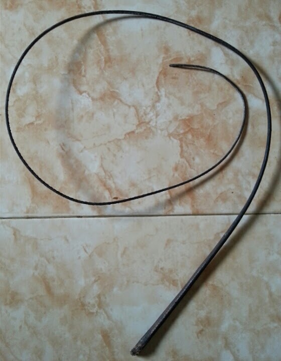 ratu pantai selatan: ekor ikan pari / stingray tail