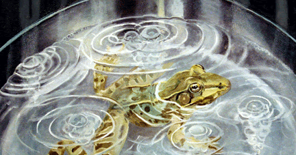 THE SWASH ZONE: HOW BOILED FROGS HIJACKED THE CLIMATE CHANGE DEBATE