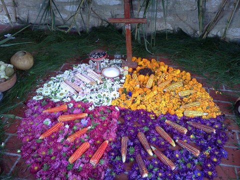 Red Maíz Criollo Chiapas: Altares tradicionales del dia de muertos