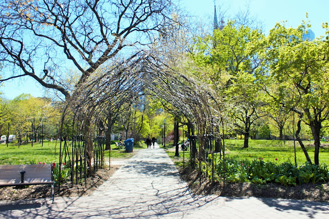 TP Entertainment and Productions: OMG for Gelato @ G For Gelato Toronto