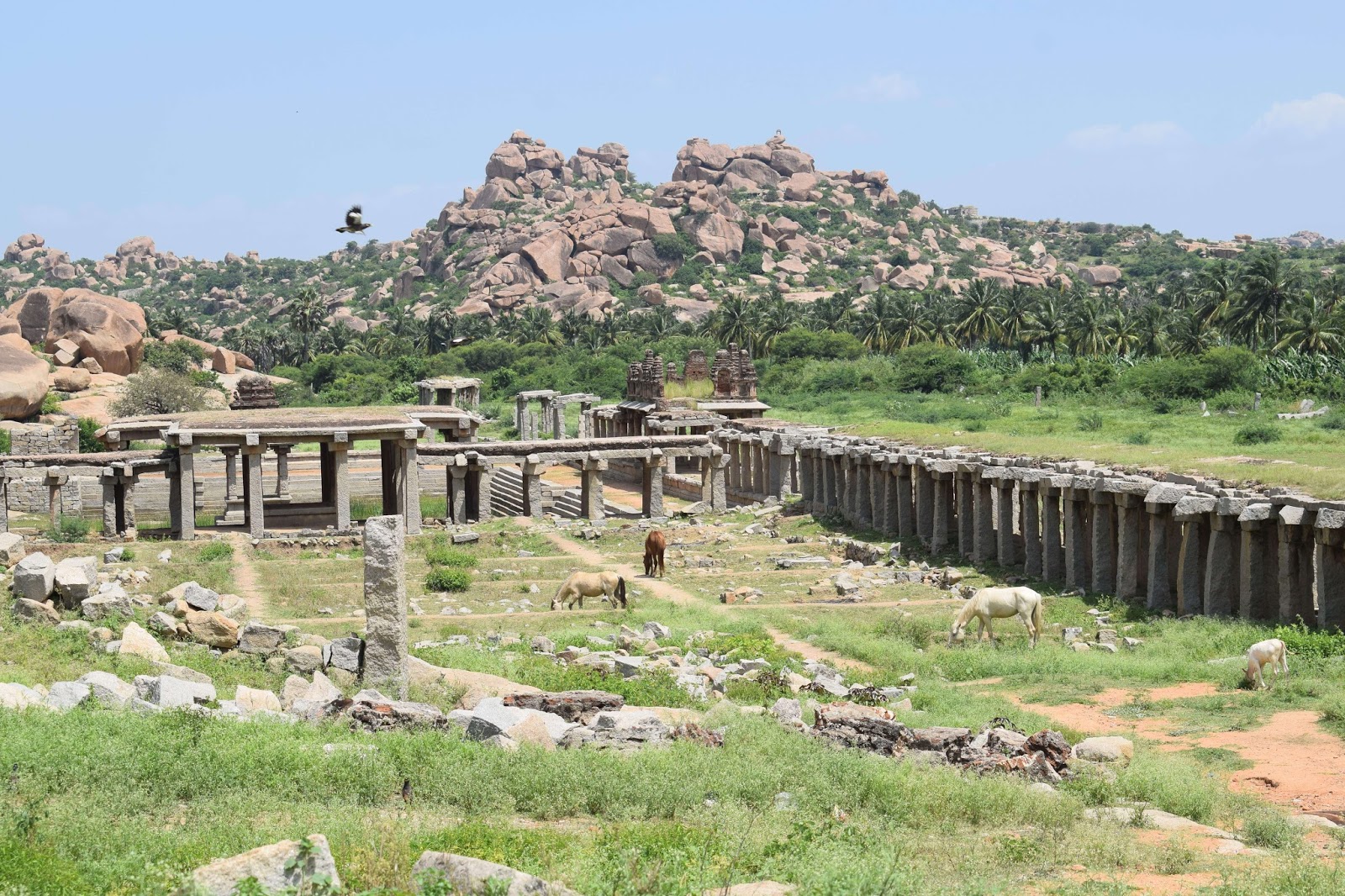 Incredible Hampi