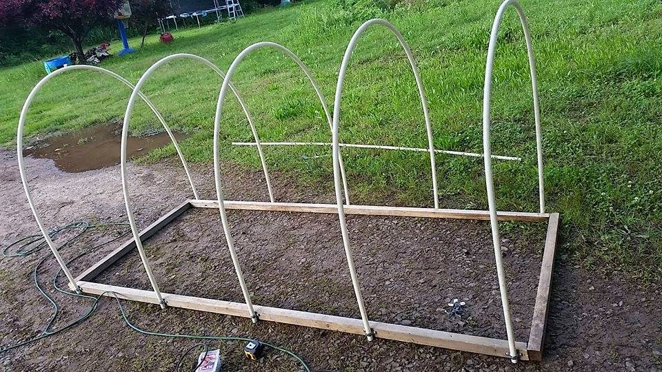 Crow Mountain Farm: Building a cheap and easy chicken run