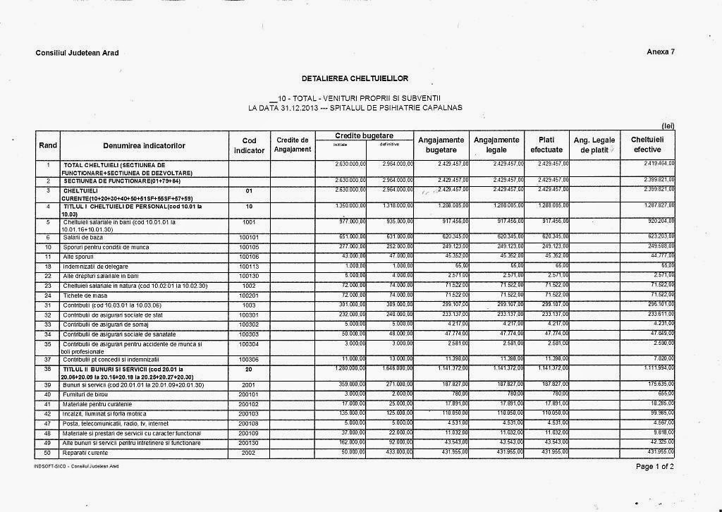 SPITALUL DE PSIHIATRIE CAPALNAS ARAD: Bilant contabil la 31.12.2013