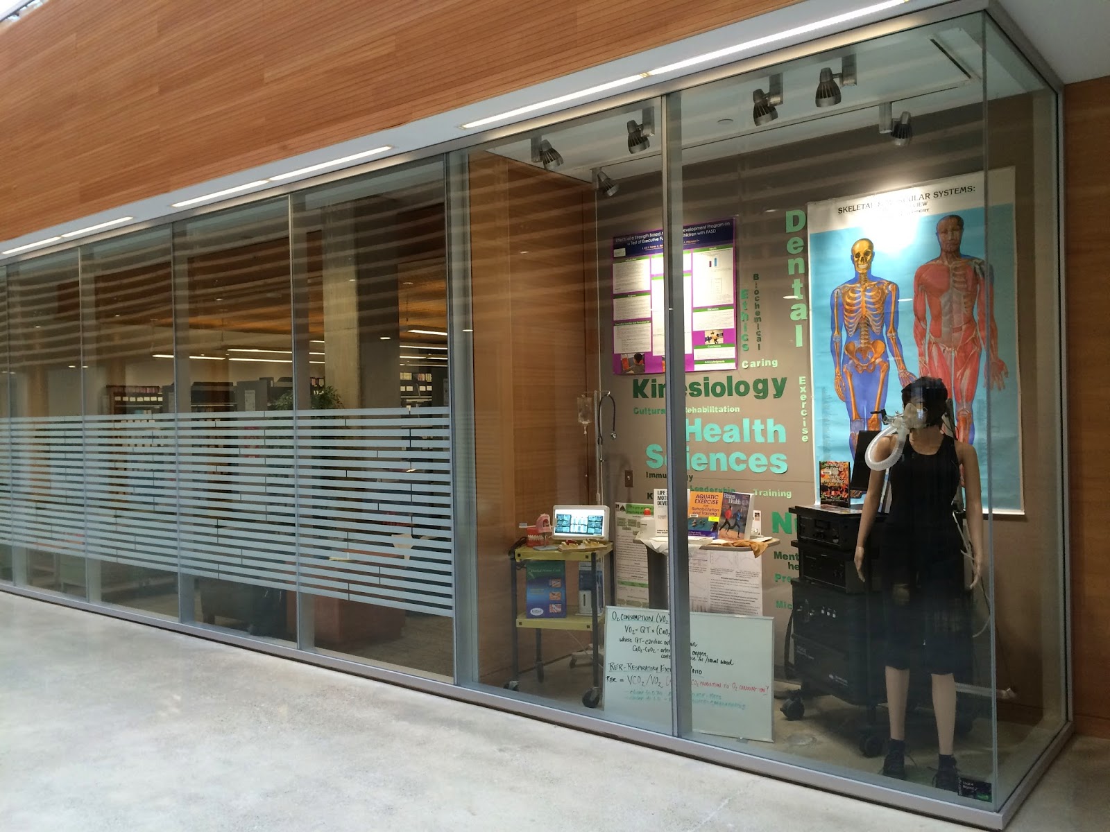 What's New in the UFV Library?: Model in Chilliwack display shows ...