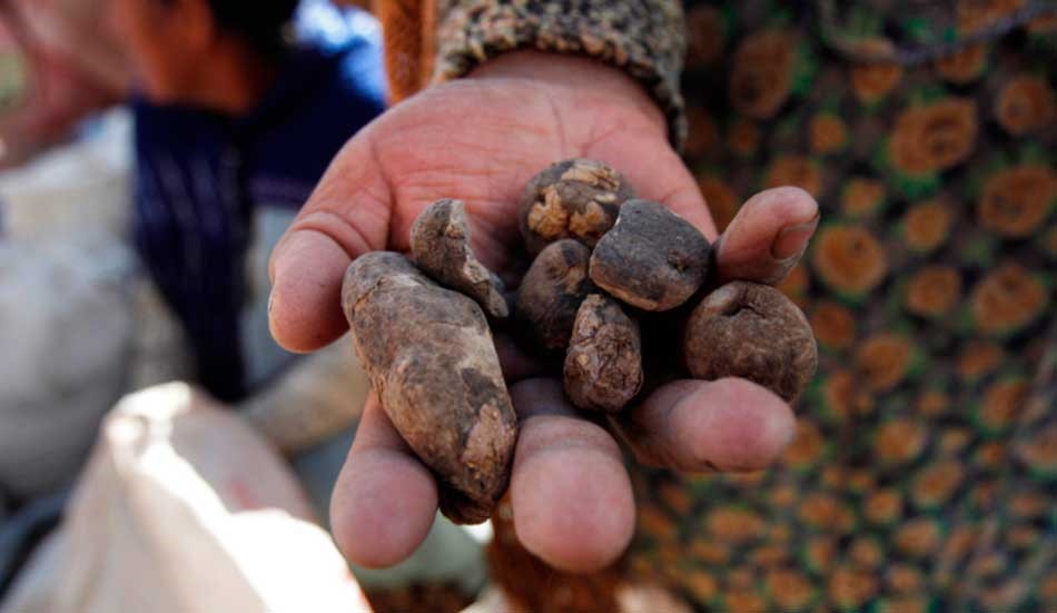 PUNO, CULTURA Y DESARROLLO: EL CHUÑO NUESTRO DE CADA DIA...