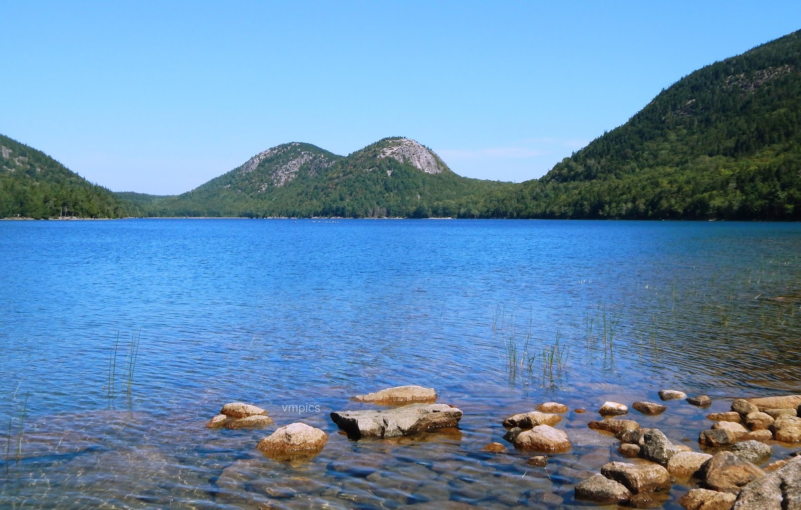 A Day in Acadia National Park