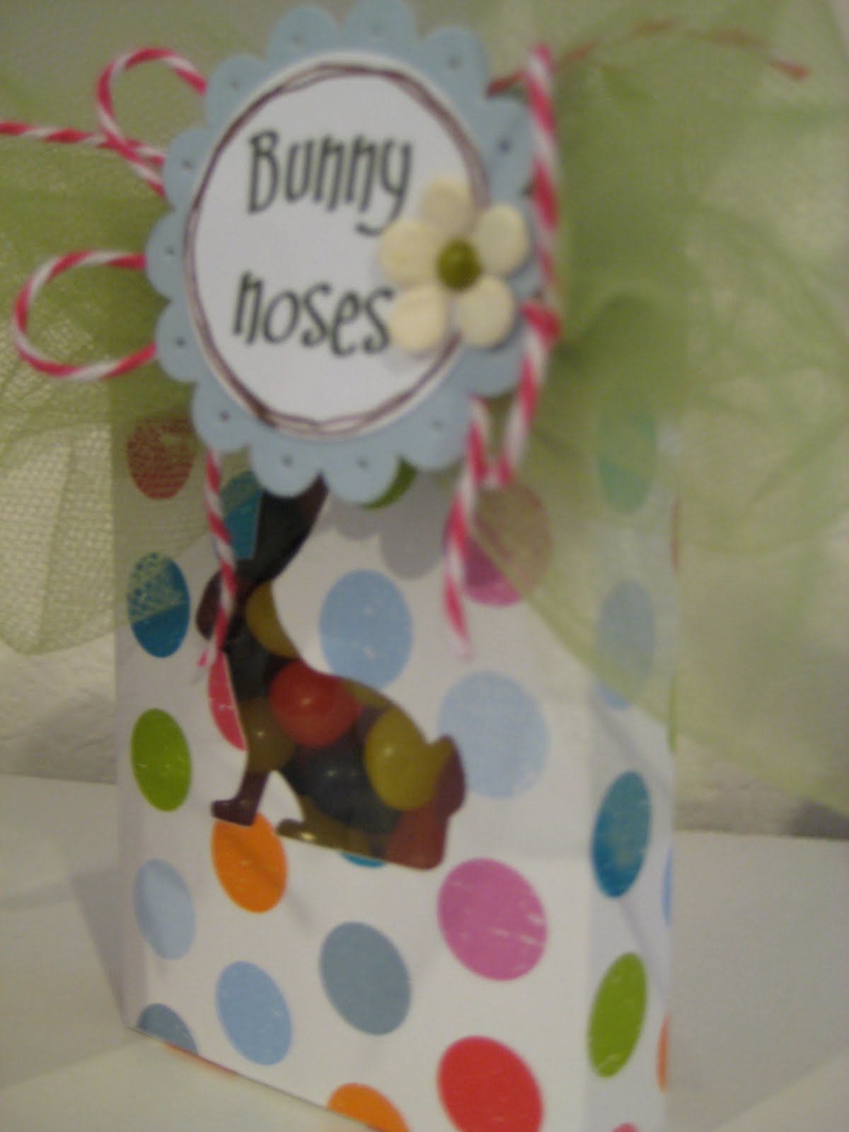 She's a Sassy Lady: Bunny noses!