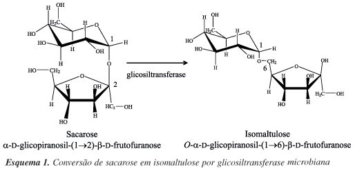CLÍNICA ESPORTIVA: Palatinose (Isomaltulose)