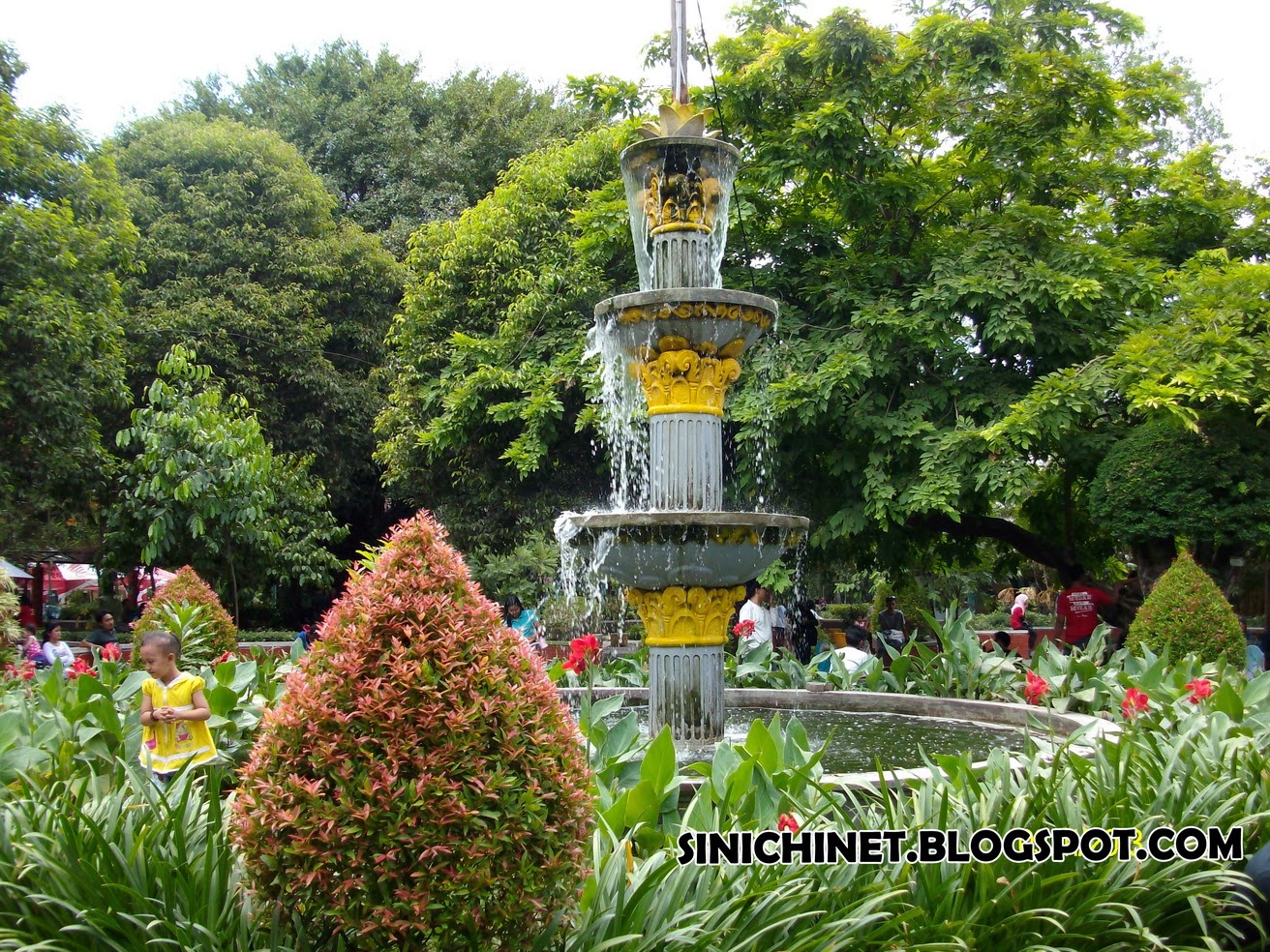 Taman Flora (Kebun Bibit) Bratang Surabaya | SINICHINET