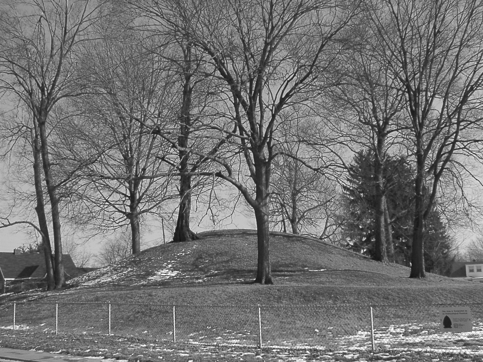 www.nephilimgiants.net : 121 Photos of Burial Mounds in Ohio Including ...