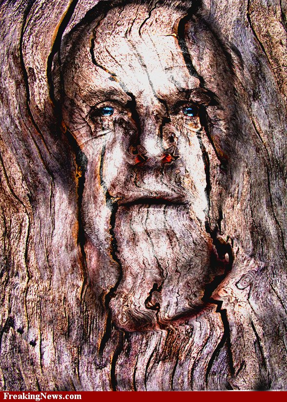 Cool Pictures: 30 Great funny bush Photos are the most gorgeous collection